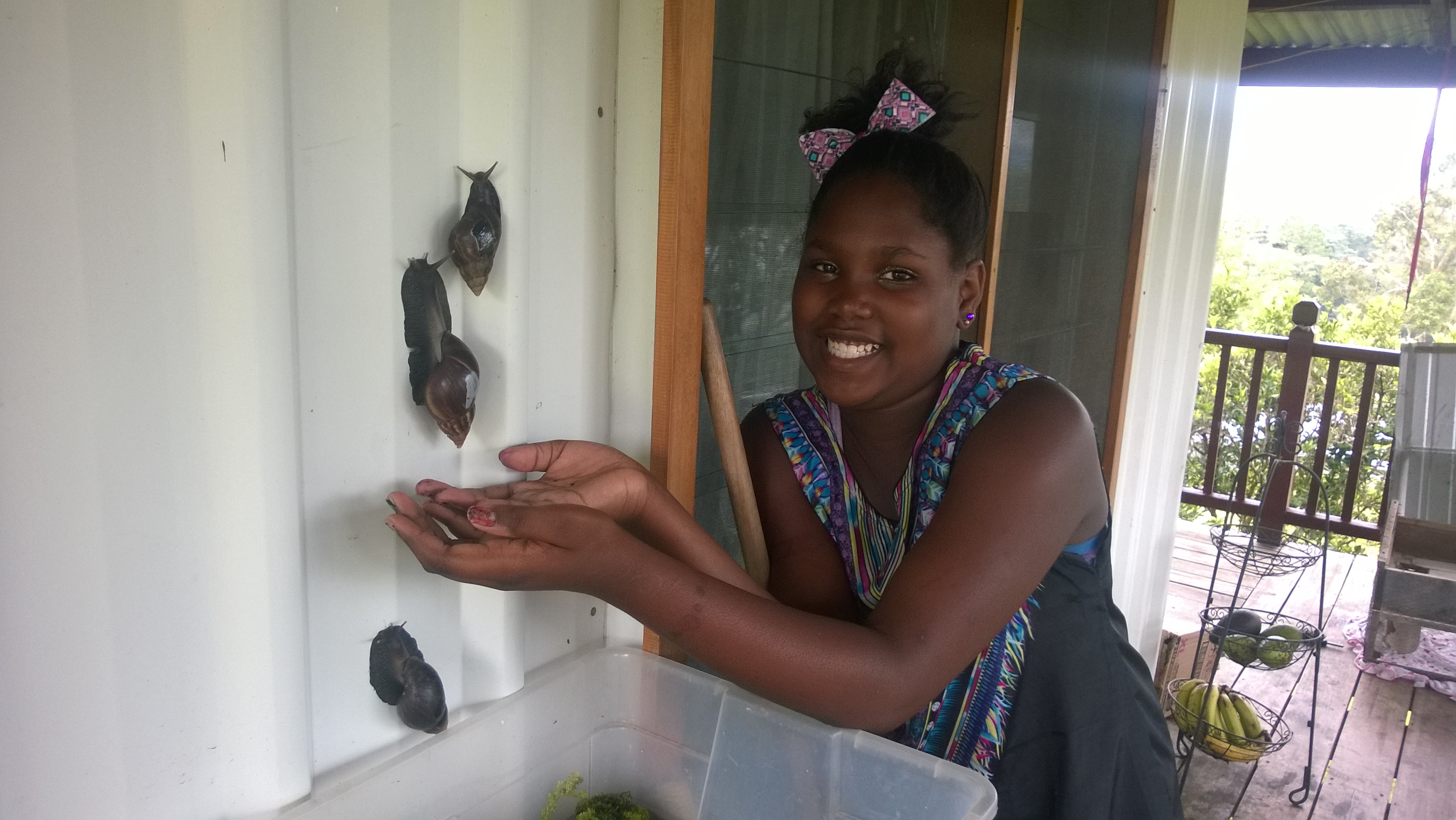 Home This Summer? | Aaron and Stacy Jex