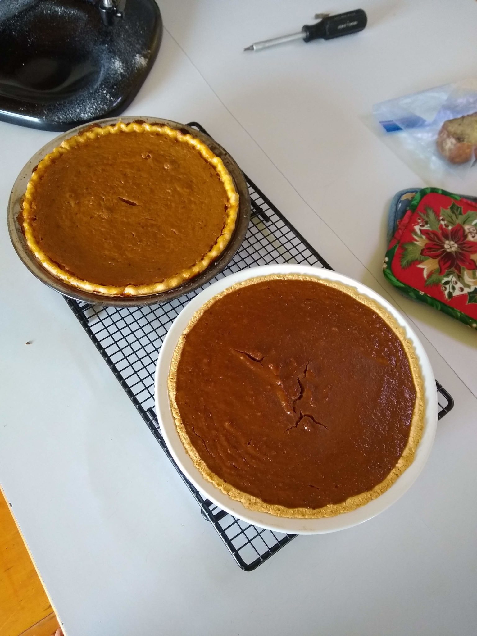 {Insert Turkey Pun Here} | Chris and Maggie Hostetter