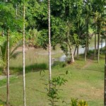 How to Overcome Prayerlessness | David and Robin Watters