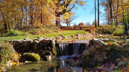 2020 Michigan Fall Color Tour | Missionary Blogs