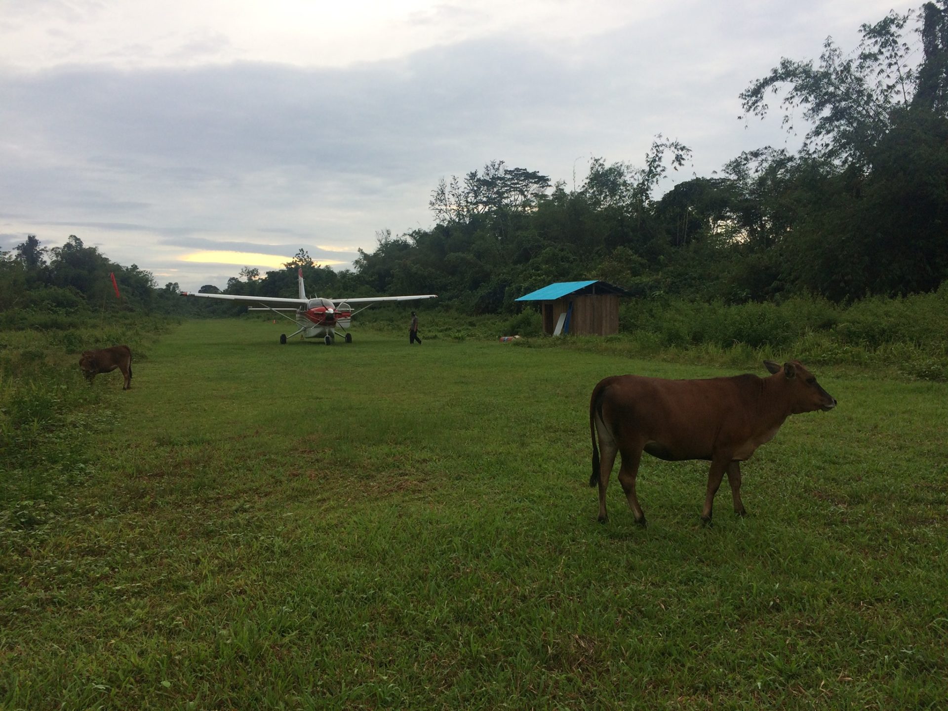 The Waiting Game | Keeping ↑ with the ↓ings